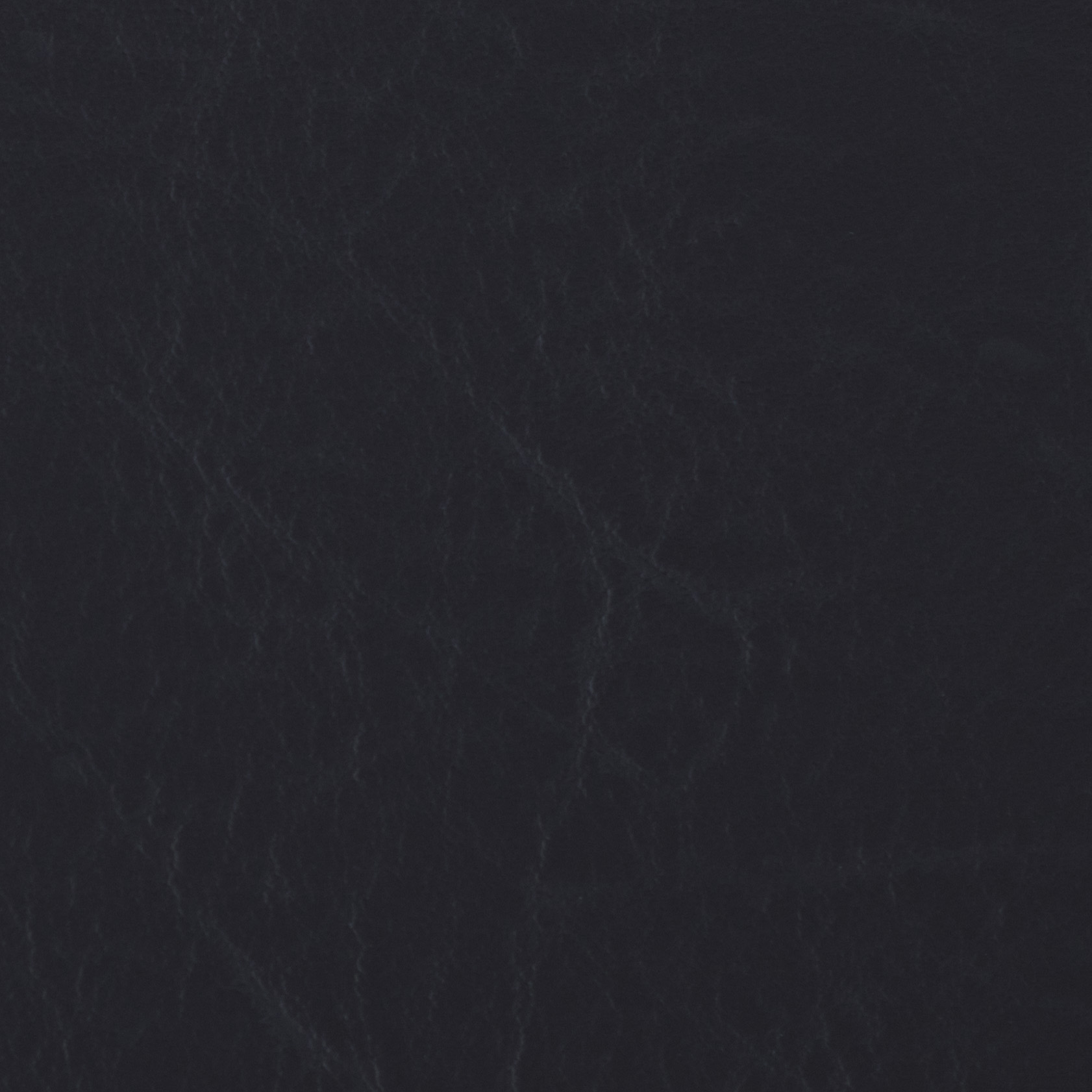 Carrara Black | Miami Corp