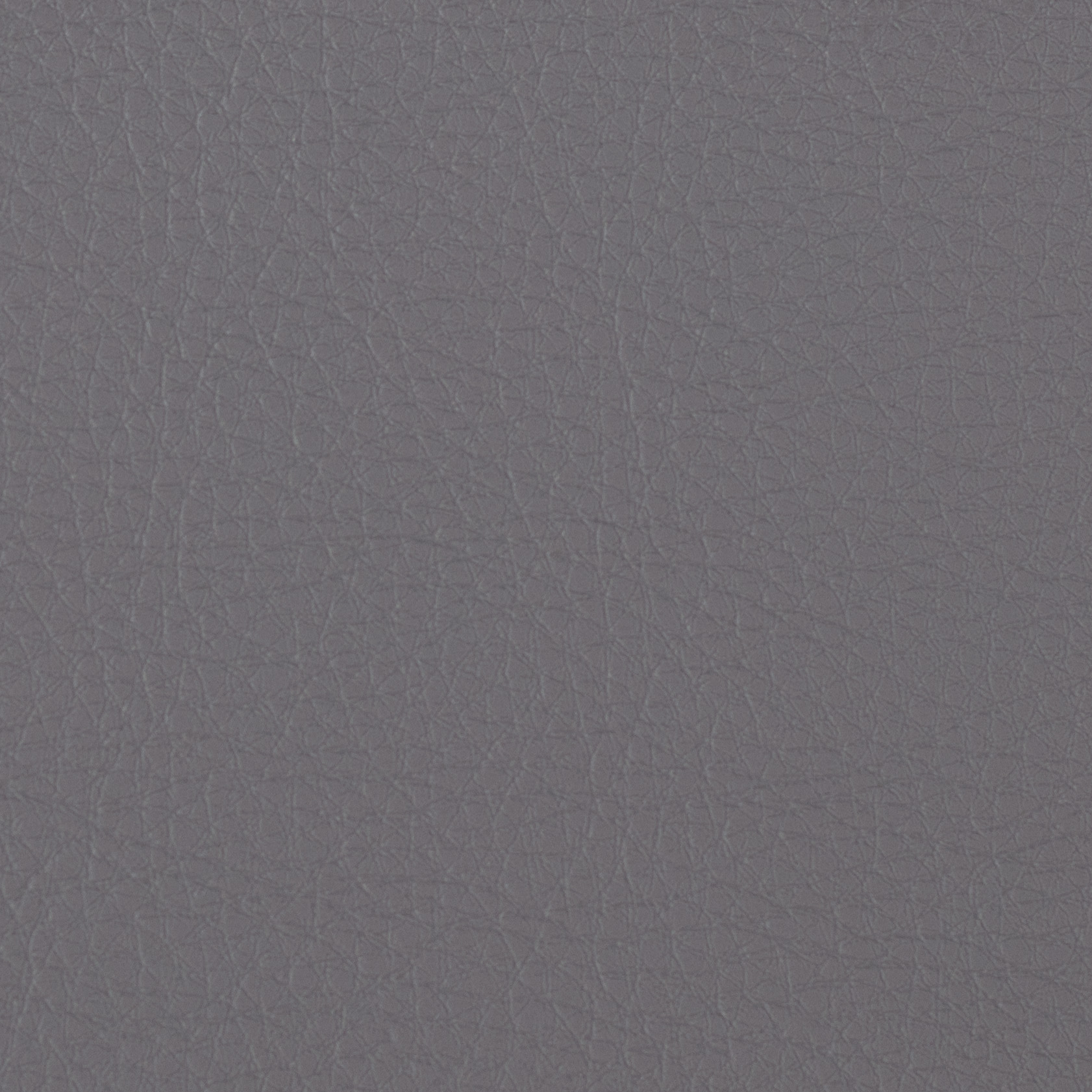 PRODIGY MELLOHIDE MEDIUM GREY | Miami Corp