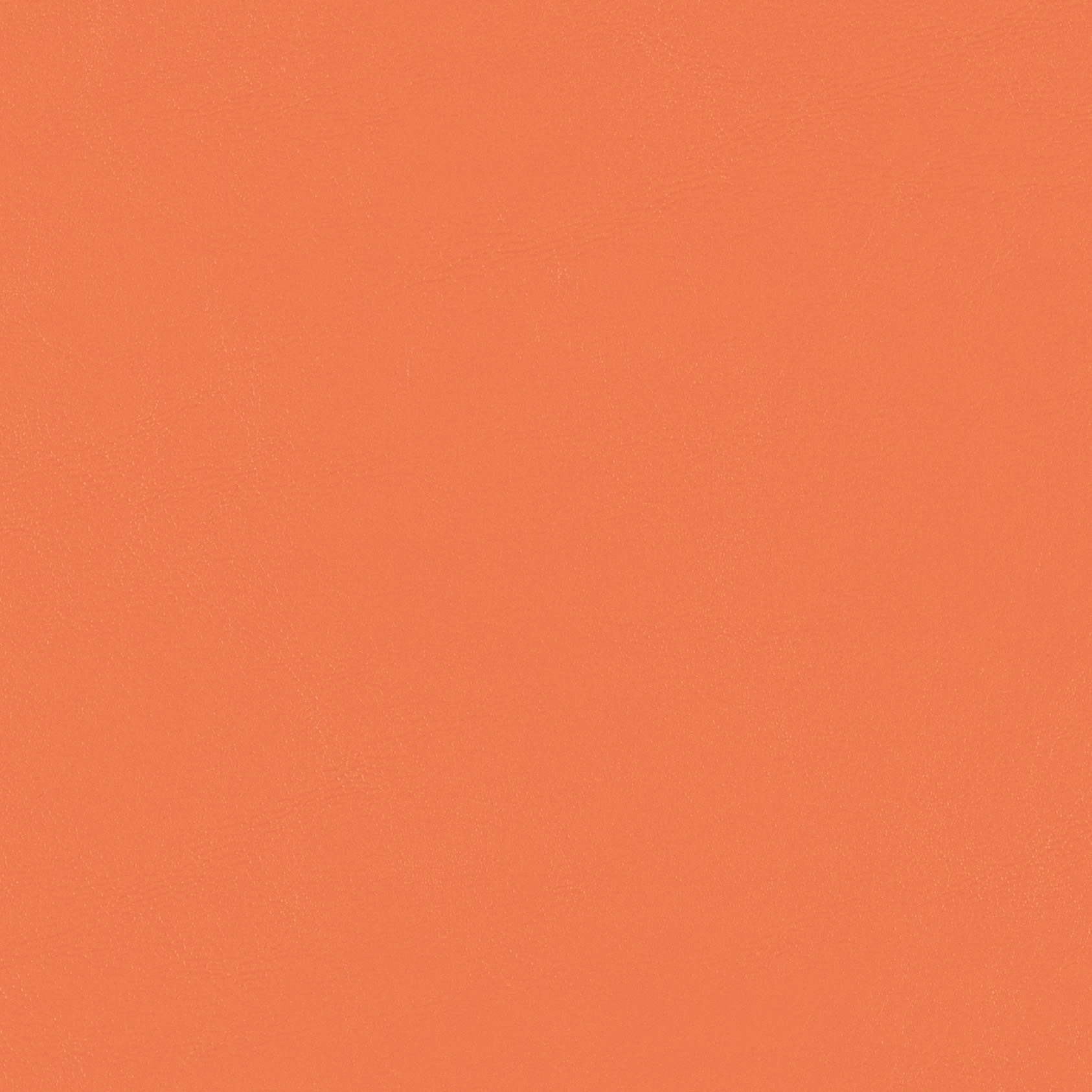 SEABROOK HOT ORANGE O.E.M. | Miami Corp