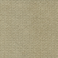 Chino Cloth - Doeskin | Miami Corp