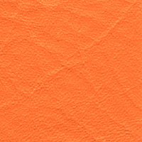 C761 | Miami Corporation